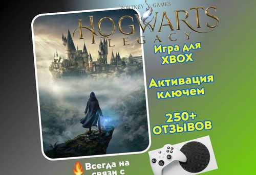 Hogwarts Legacy Xbox Festima Ru