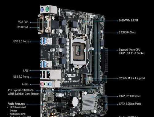 Материнская плата Asus prime B250M-K