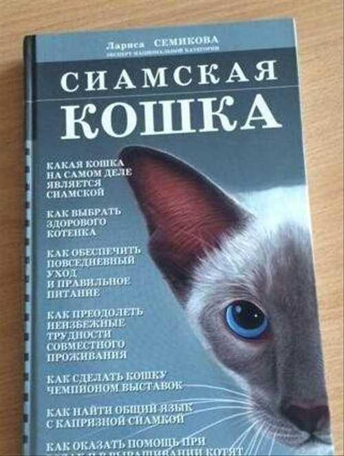 Сиамская кошка начинающим и не только