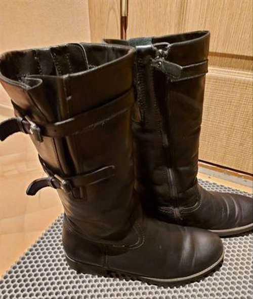 Сапоги осень весна женские ecco