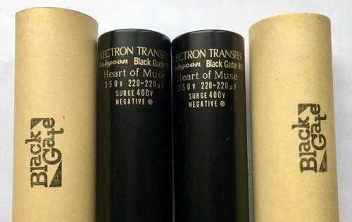 BlackGate WKZ Heart Of Muse, 220+ 220uF/350V