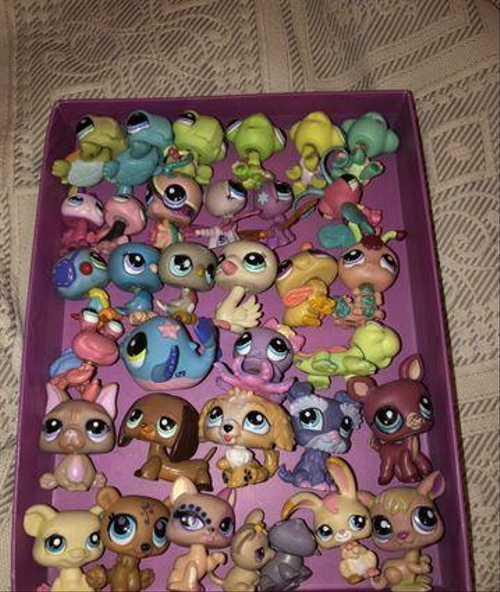 Littlest Pet Shop