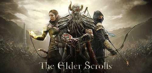 The elder scrolls online (PC only)