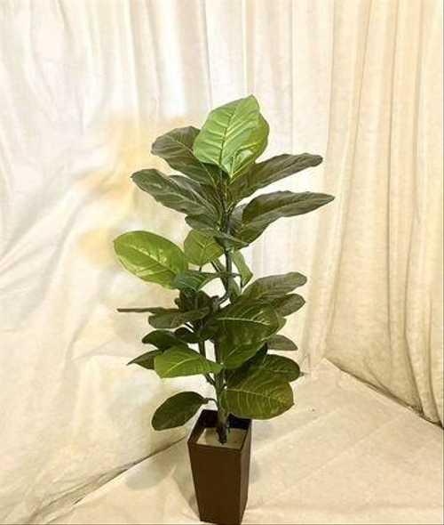 Фикус Лирата искусственный- растение для дома