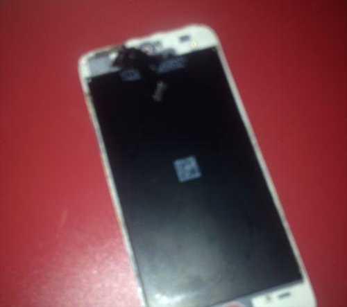 iPhone 5 Тачскрин