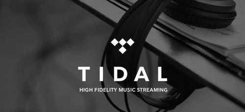 Tidal HiFi Plus на 3 месяца (Тидал)
