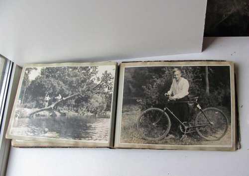 Альбом Фотография Ленинград Петергоф Фонтаны