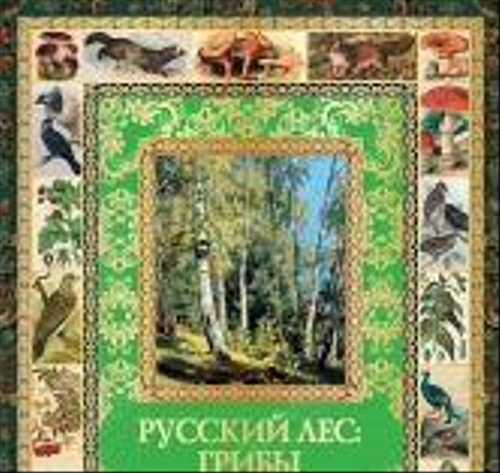 Руский лес: грибы и ягоды Бутромеев В. 2013 год