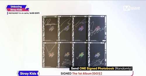 Stray Kids GO Official Signed Album