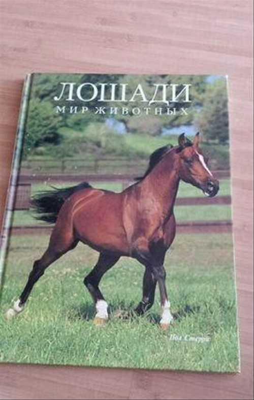 Купить книгу лошади