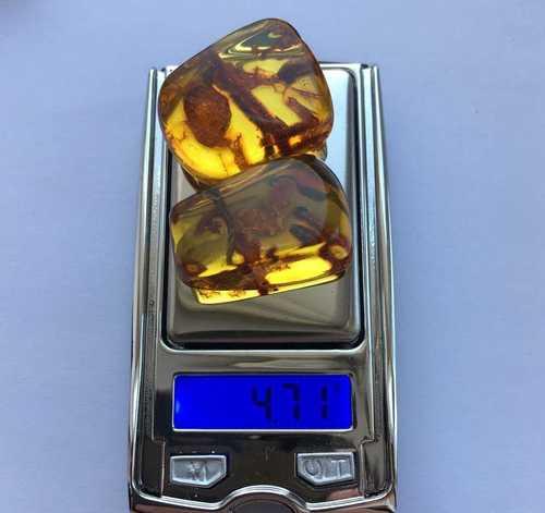 Янтарь с инклюзом, эксклюзив