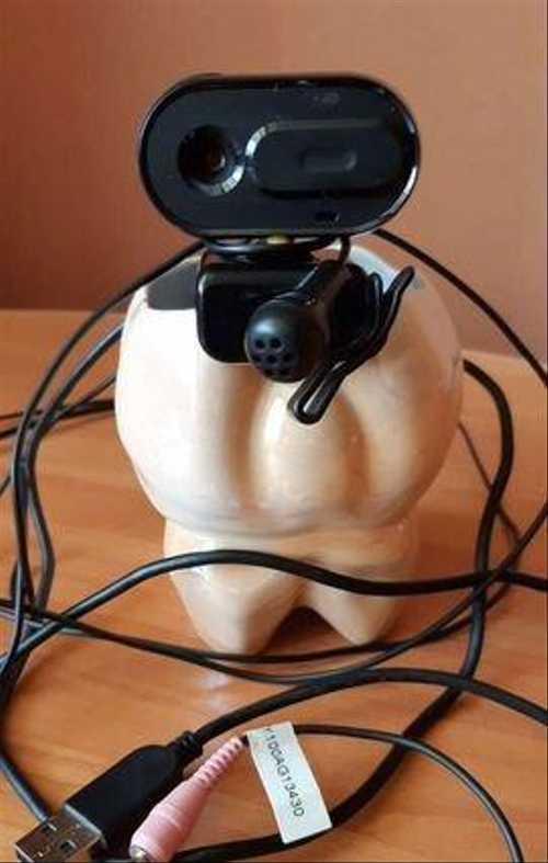 Веб камера с микрофоном