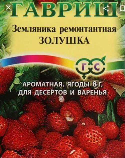 Рассада земляники Золушка