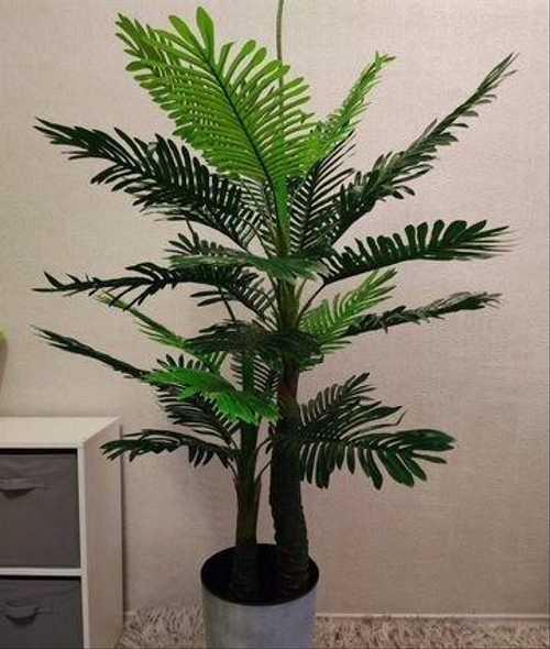 Красивая искусственное дерево пальмы
