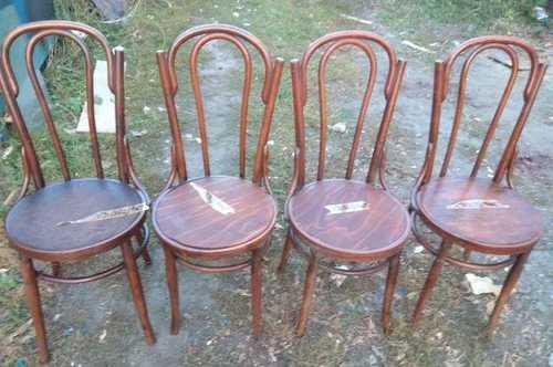 Венские стулья и венские кресла
