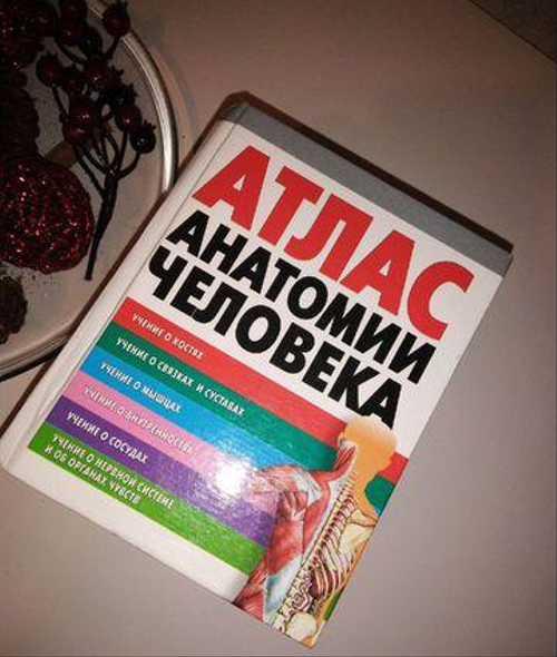 Атлас анатомии человека Воробьев в п. Атлас по анатомии Воробьев. Атлас анатомии Воробьев 1998 года картинки. Атлас анатомии Воробьев Минск 1998г Размеры книги.