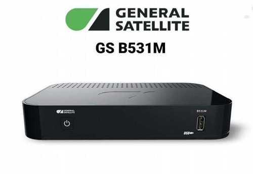 GS B531M general satellite цифровая двухтюнерная с