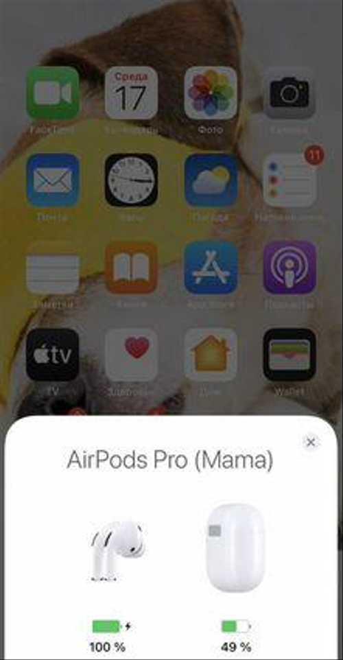 Airpods pro оригинал с чеком