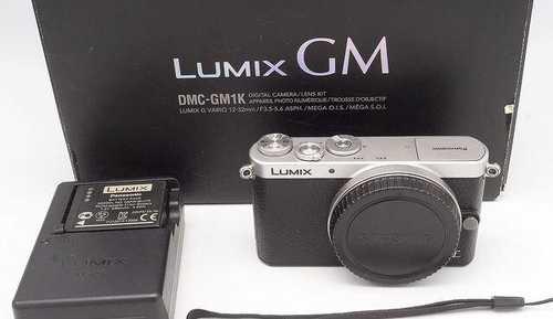 Panasonic Lumix GM1 body