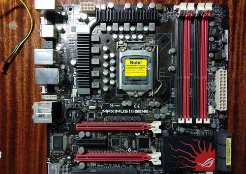 Asus maximus III gene