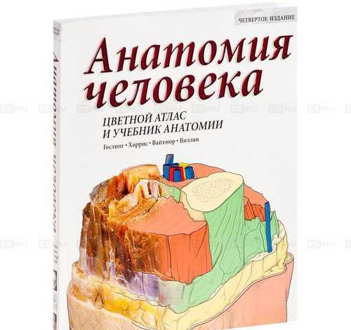 Анатомия человека. Цветной атлас и учебник анатоми