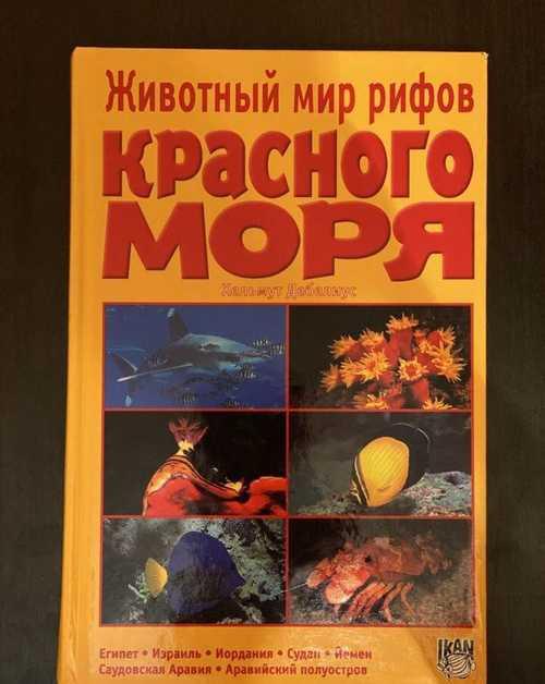 Животный мир рифов Красного моря