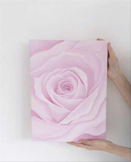 Интерьерная картина маслом "Розовая роза"