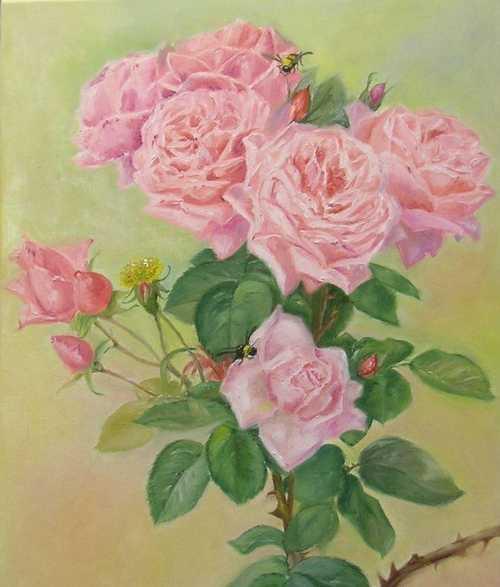Картина цветы Утренние розы масло