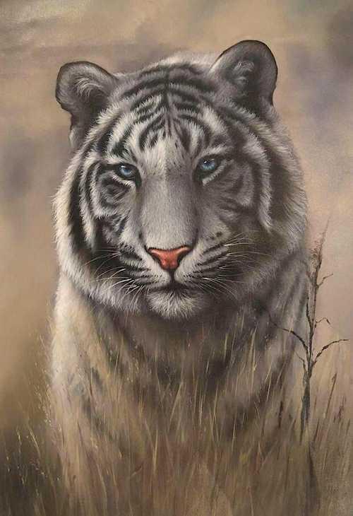Картина маслом на холсте Белый тигр