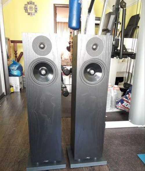 Neat Acoustics Elite SX