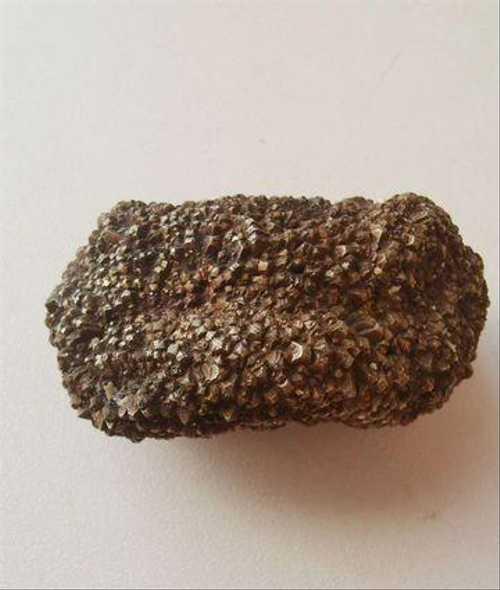 Золото дураков - редкий артефакт