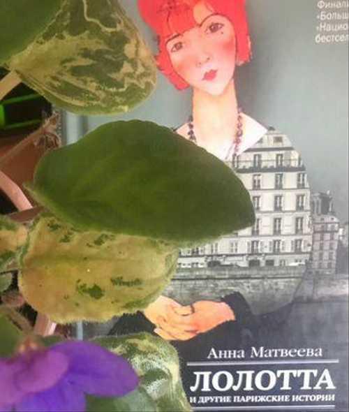 Книга Анны Матвеевой