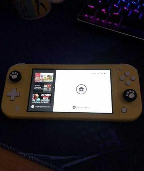 Nintendo switch lite