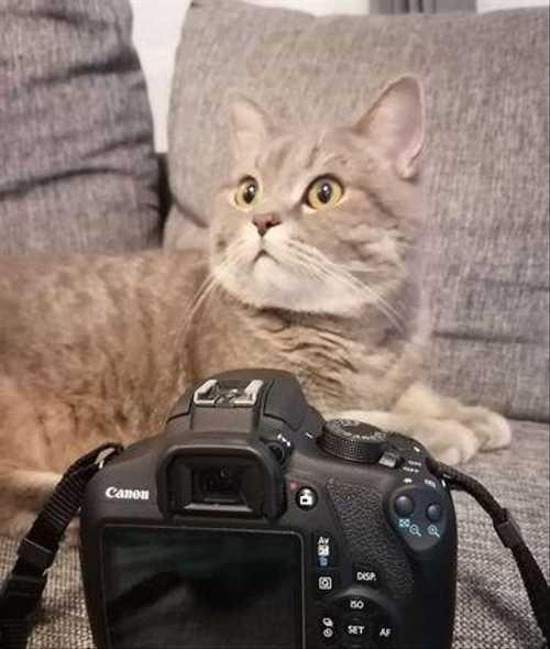 Фотоаппарат зеркальный Canon EOS