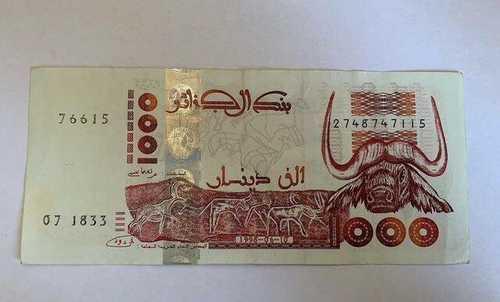 Банкнота 1000 динаров Алжир