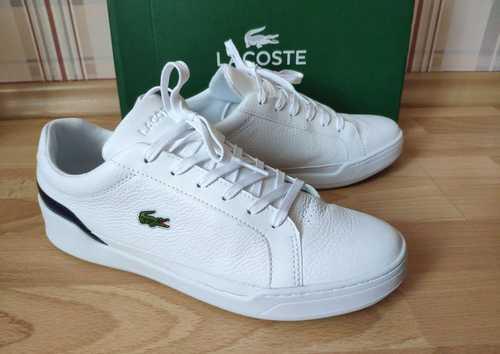 Кроссовки Lacoste Оригинал