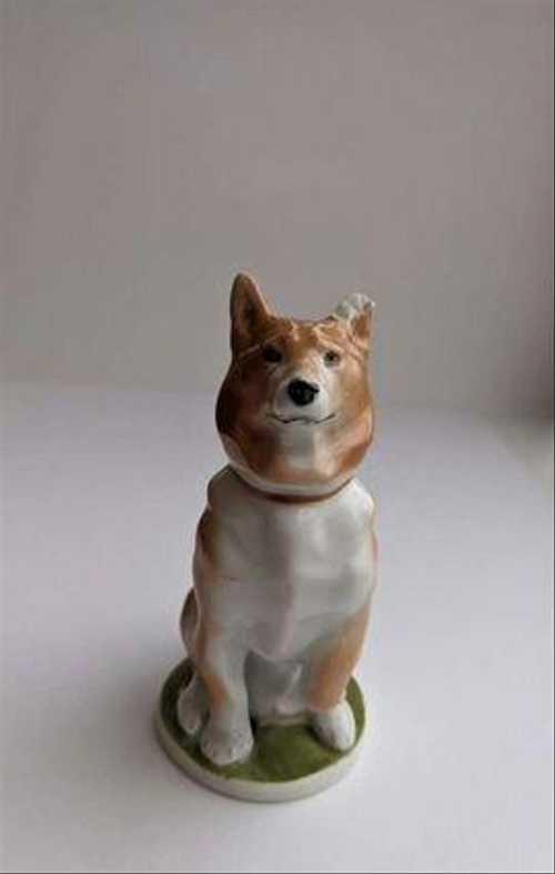 Фарфоровая статуэтка «Собака породы лайка», лфз