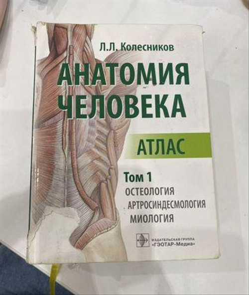 Атлас по анатомии