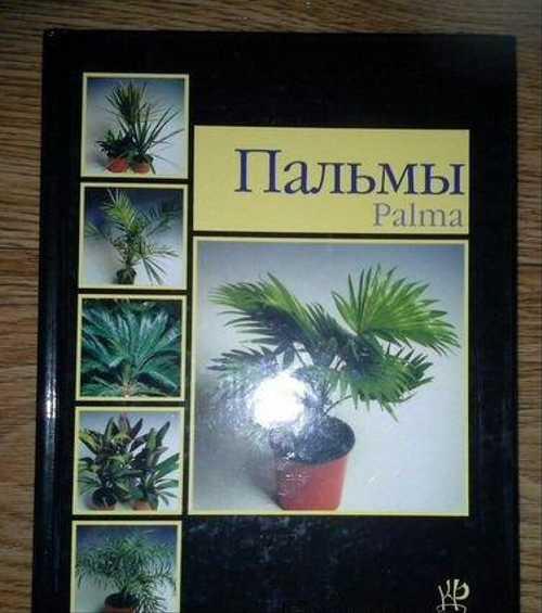 Дикие пальмы книга. Книга Пальма. Пальмы в снегу книга.