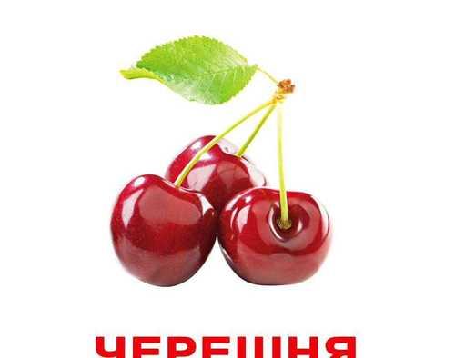 Обучающие карточки