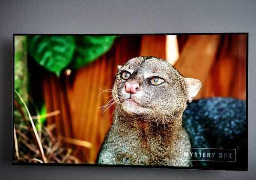 Телевизор LG oled55B7V