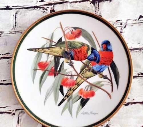 Японская тарелка 27 см Многоцветный Лорикет