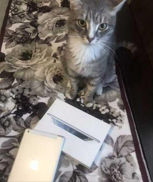 iPad mini 16gb 1 поколение