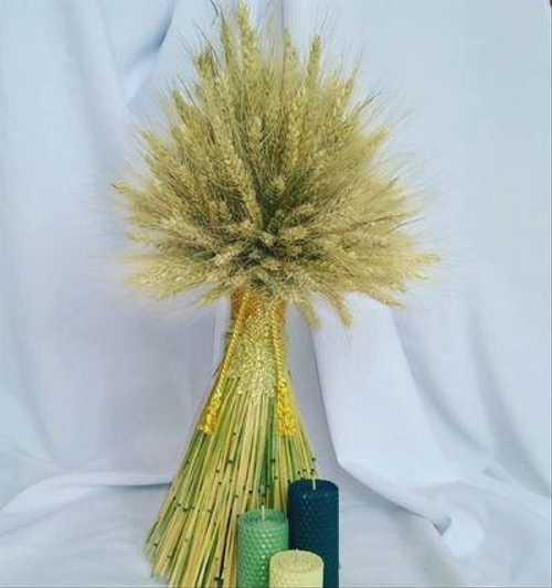 Букет из Пшеницы сухоцветы