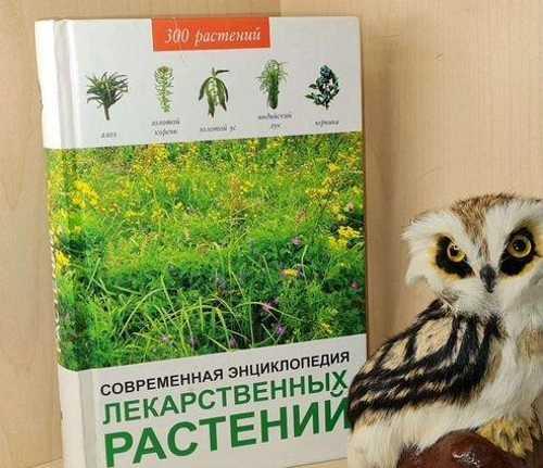 Современная энциклопедия лекарственных растений. 3