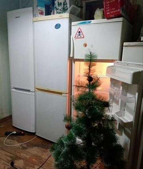 Холодильники в офис или в общагу