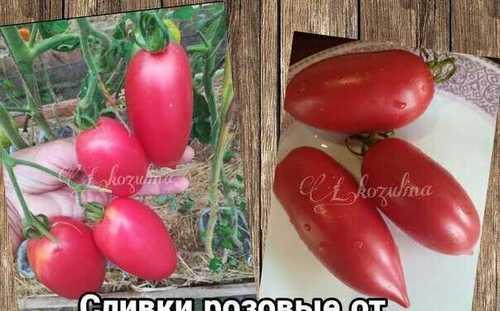 Семена редких томатов черри и сливки