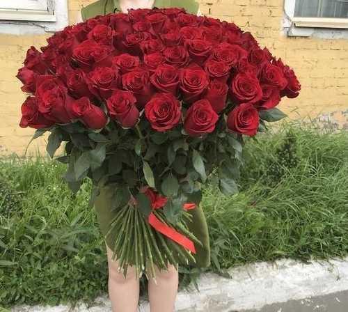 Розы 101 штука 65 см