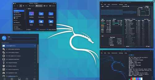 Флеш-карта с Kali Linux