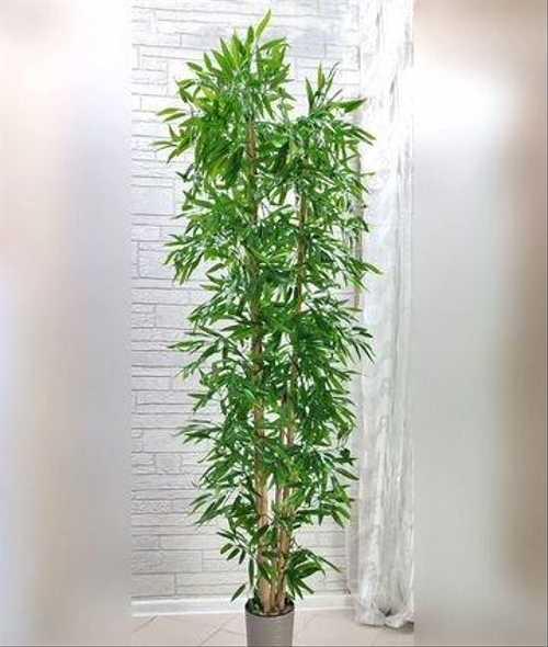 Искусственное растение бамбук Н175
